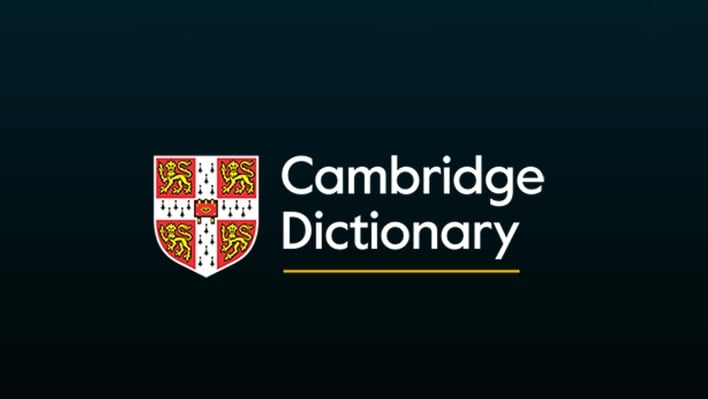 Cambridge Dictionary Adds Skibidi, Broligarchy And More Internet Slang ...